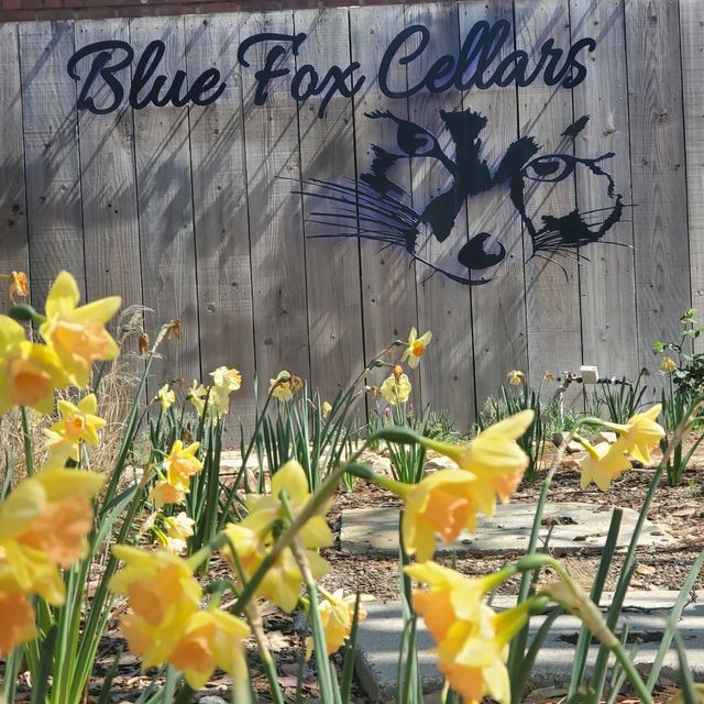 Blue Fox Cellars Wine Tasting Room - Carmel Valley, CA | OpenTable
