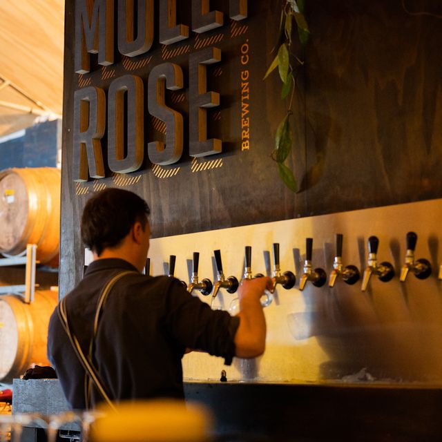 Molly Rose Brewery - Actualizado en 2024, Cervecería en Collingwood, AU-VIC