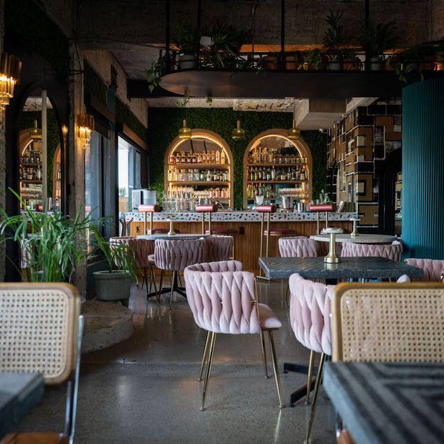 Bar Bachano Restaurant - Tijuana, BCN | OpenTable