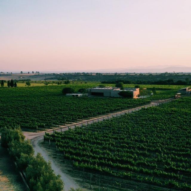 RAIGAL en Viñedo Cuna de Tierra Restaurant - Guanajuato, GUA | OpenTable