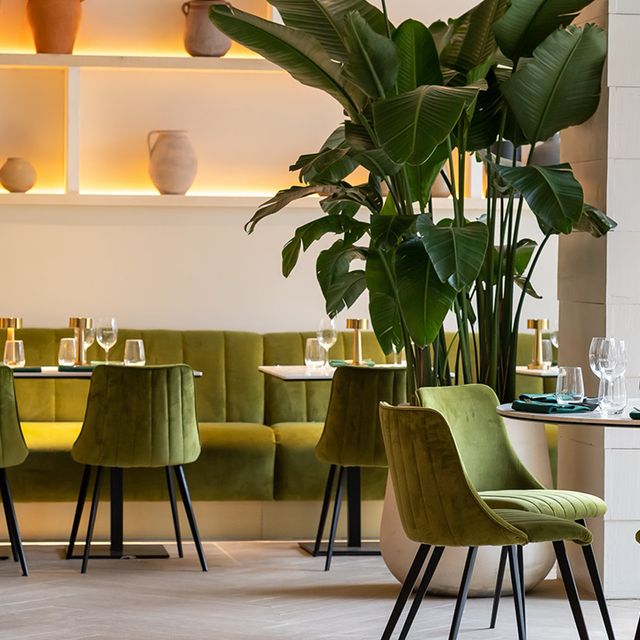 Palma Restaurant - Montréal, QC | OpenTable