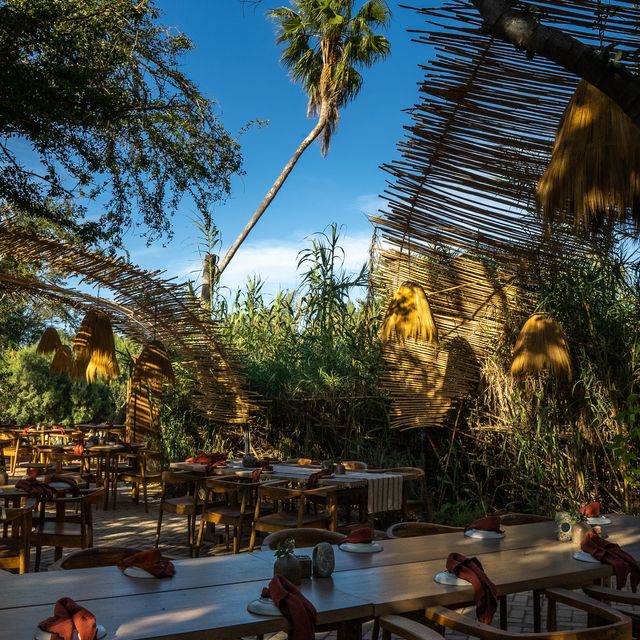 Semillon Restaurant - San Jose del Cabo, BCS | OpenTable