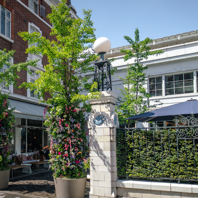 Bluebird Chelsea Restaurant - London | OpenTable