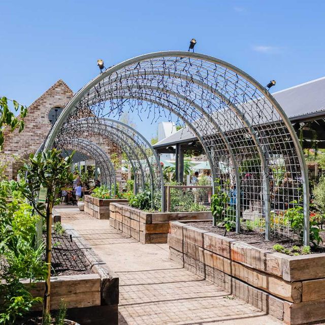 The Doonan - Updated 2025, Modern Australian Restaurant in Doonan, AU-QLD