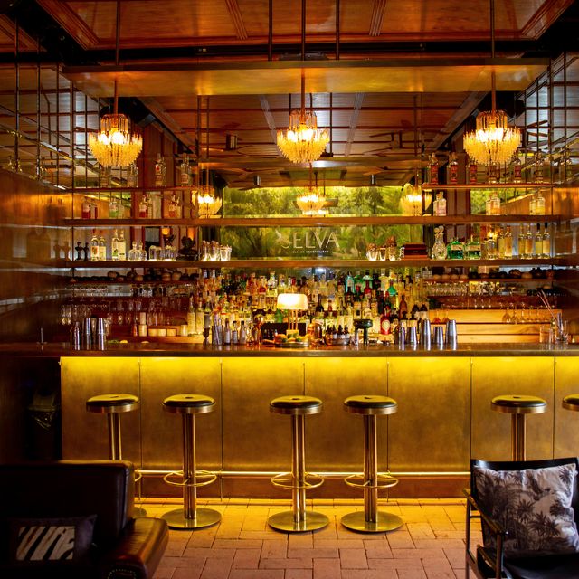 Selva Oaxaca Cocktail Bar Restaurant - Centro, OAX | OpenTable