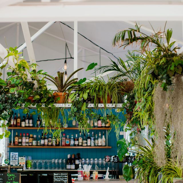 Spero Restaurant - Mooloolaba, AU-QLD | OpenTable