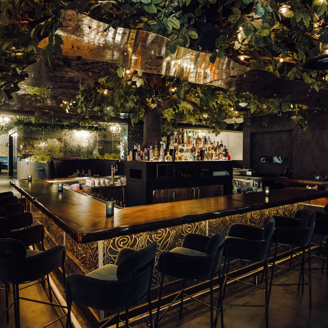 Restaurante La Neta Cocina Y Lounge - Dallas - Dallas, TX | OpenTable