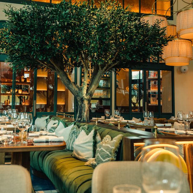 Casa Luca Restaurant - Santo Domingo, Distrito Nacional | OpenTable