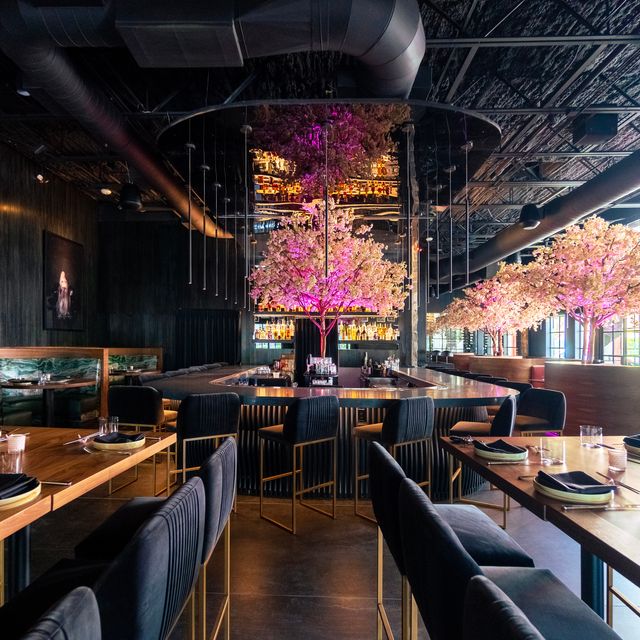 Muse - Top Rated Restaurant in Houston, TX | OpenTable