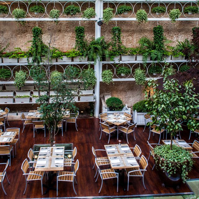 Buche Perico Restaurant - Santo Domingo, Distrito Nacional | OpenTable