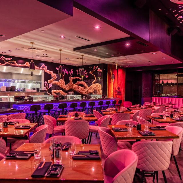 TEN Sushi + Cocktail Bar - Houston Restaurant - Houston, TX | OpenTable