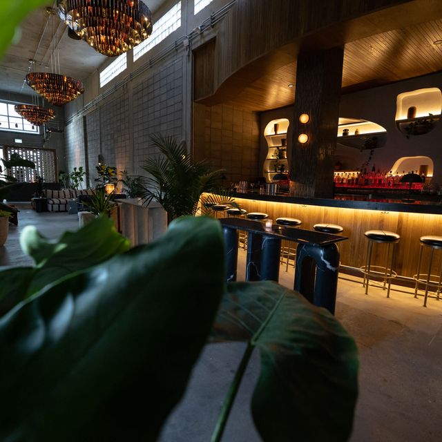 Restaurant Standing Room Only Cocktail Bar - Calgary, , AB | OpenTable