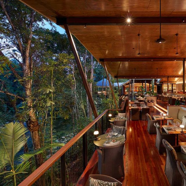 Restaurante Treehouse Restaurant - Mossman, AU-QLD | OpenTable