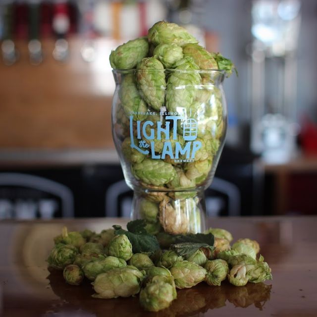 Light the Lamp Brewery - Updated 2024, Brewery in Grayslake, IL