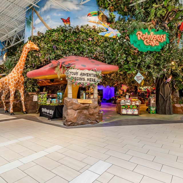Rainforest Cafe - Katy Mills Restaurant - Katy, TX | OpenTable
