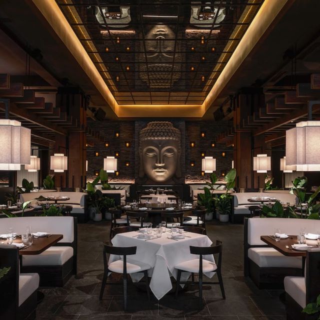 TOKU - Miami Restaurant - Aventura, FL | OpenTable