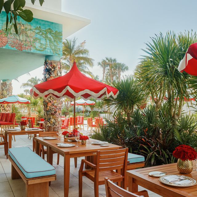 Tree of Life Restaurant - Miami Beach, FL | OpenTable