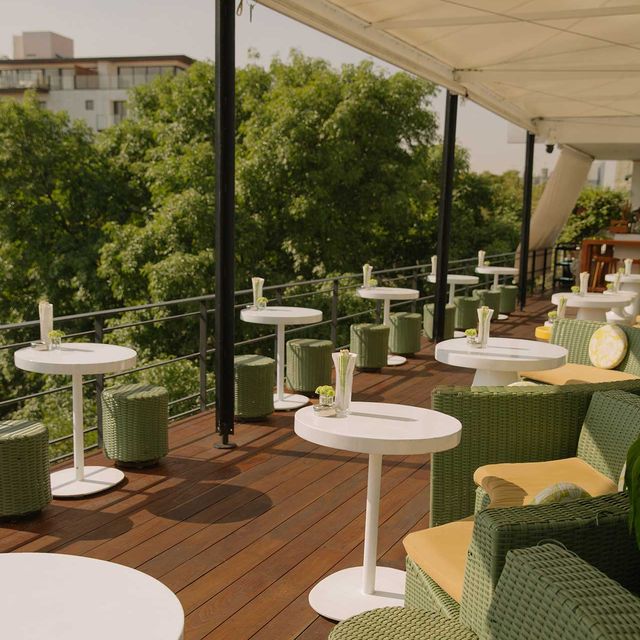 Terraza Condesa DF - Updated 2025, Japanese Restaurant in Ciudad de ...