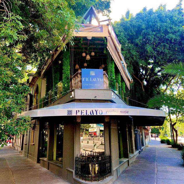 Pelayo Cocina Maja - Actualizado en 2025, restaurante español en ...